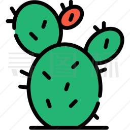 仙人掌官网下载安卓版