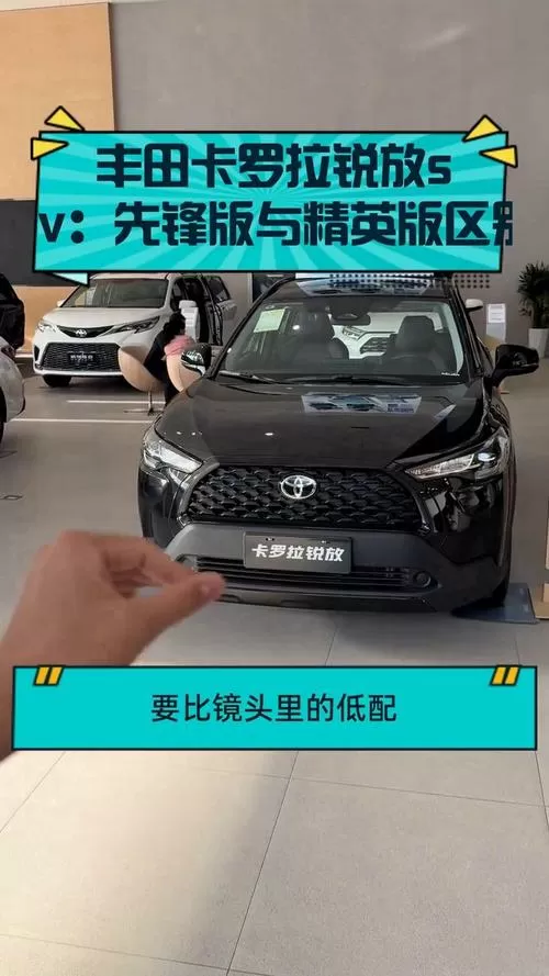 锐放精英版是中配吗截图