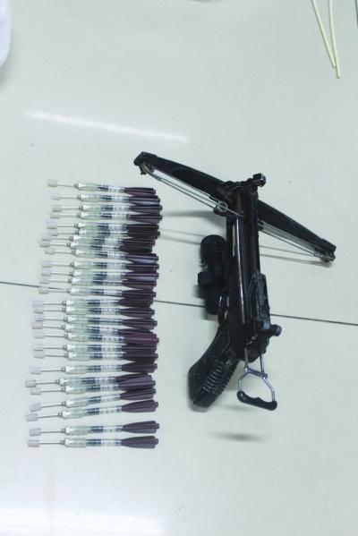 大威力小钢弩截图