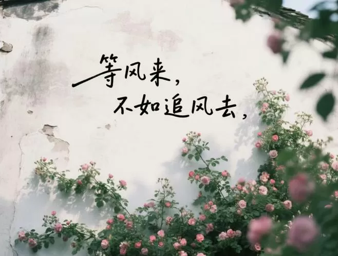 等风来不如随风去图标