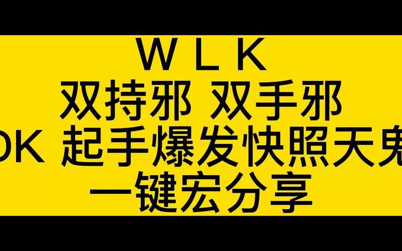 邪dk双持还是双手截图