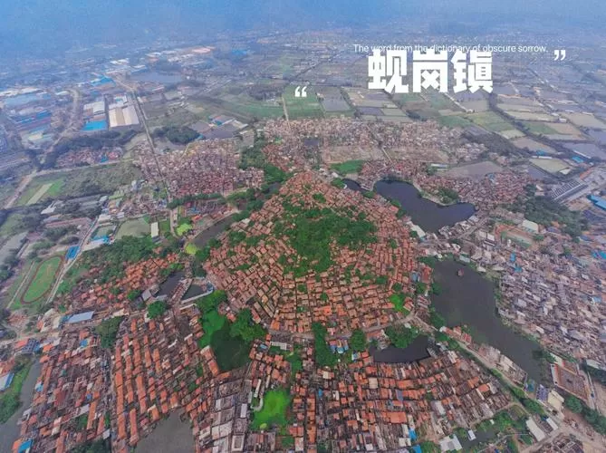 蚬岗镇属于哪个区图标