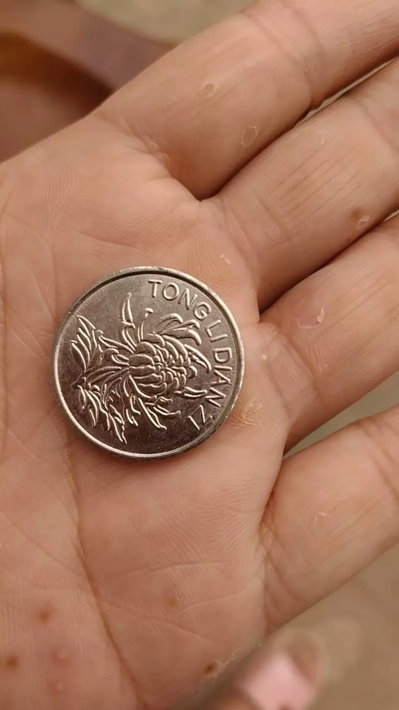 一元硬币错版币图标