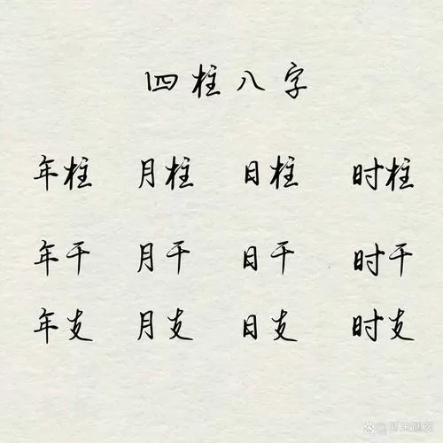 排四柱八字图标