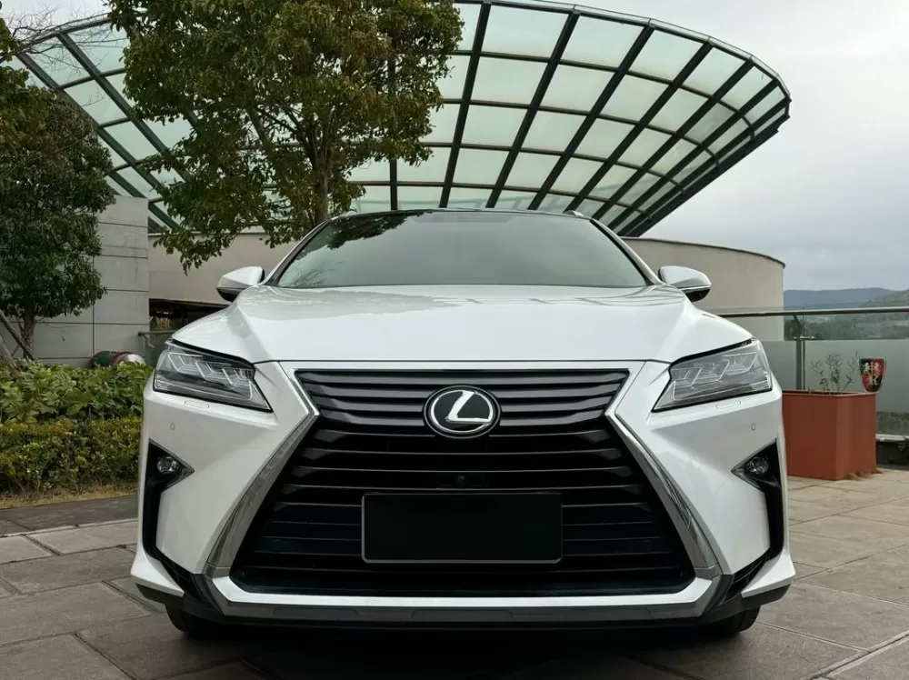 rx3002018款截图