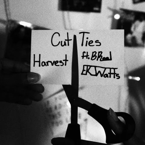 cut ties with图标