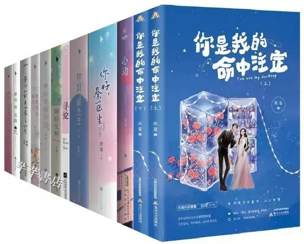 你好秦医生小说免费观看全文图标