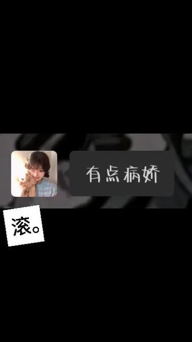 病娇聊天记录图截图