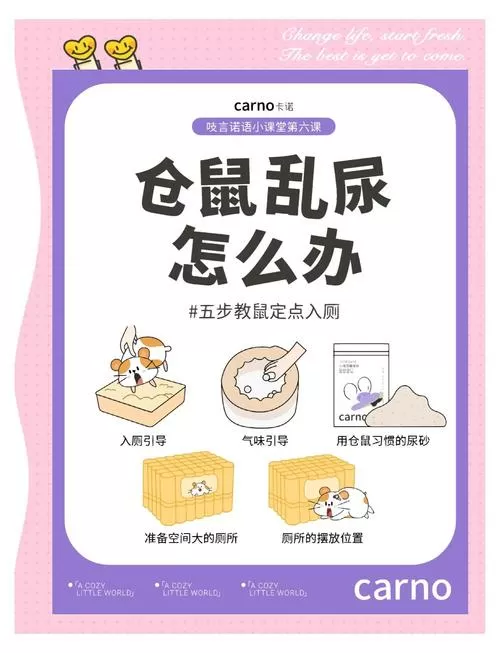 仓鼠尿骚味太大怎么办截图