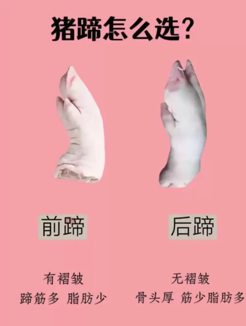 猪蹄前蹄好还是后蹄好截图