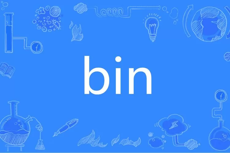 bin音标图标