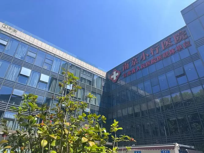 南京小行医院是三甲医院吗截图