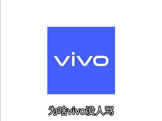 vivo手机找不到喊一声游戏截图