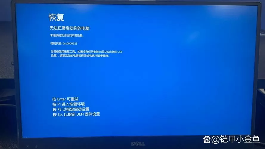 为什么戴尔电脑会闪退图标