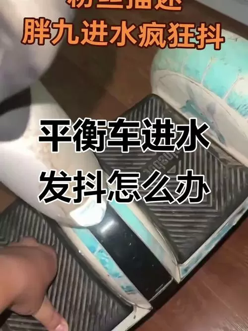 平衡车掉水里了还能修好吗截图