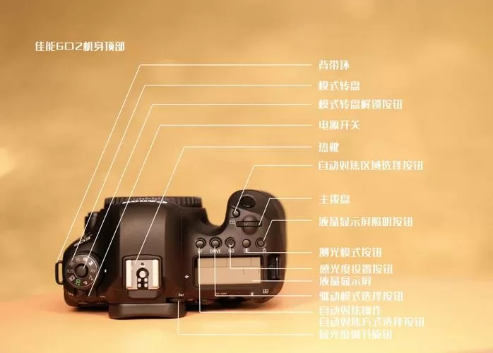 dr2c怎么设置中文截图
