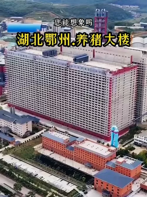 中国最大养猪场26层楼