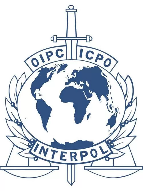 international shore connection图标