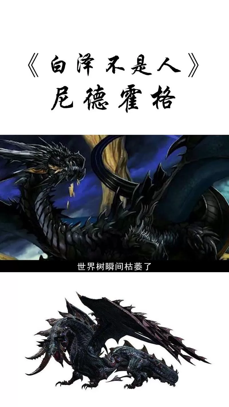 尼德霍格果实