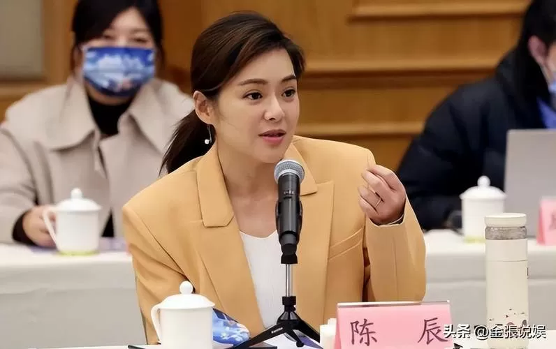 陈辰和小辰的关系截图