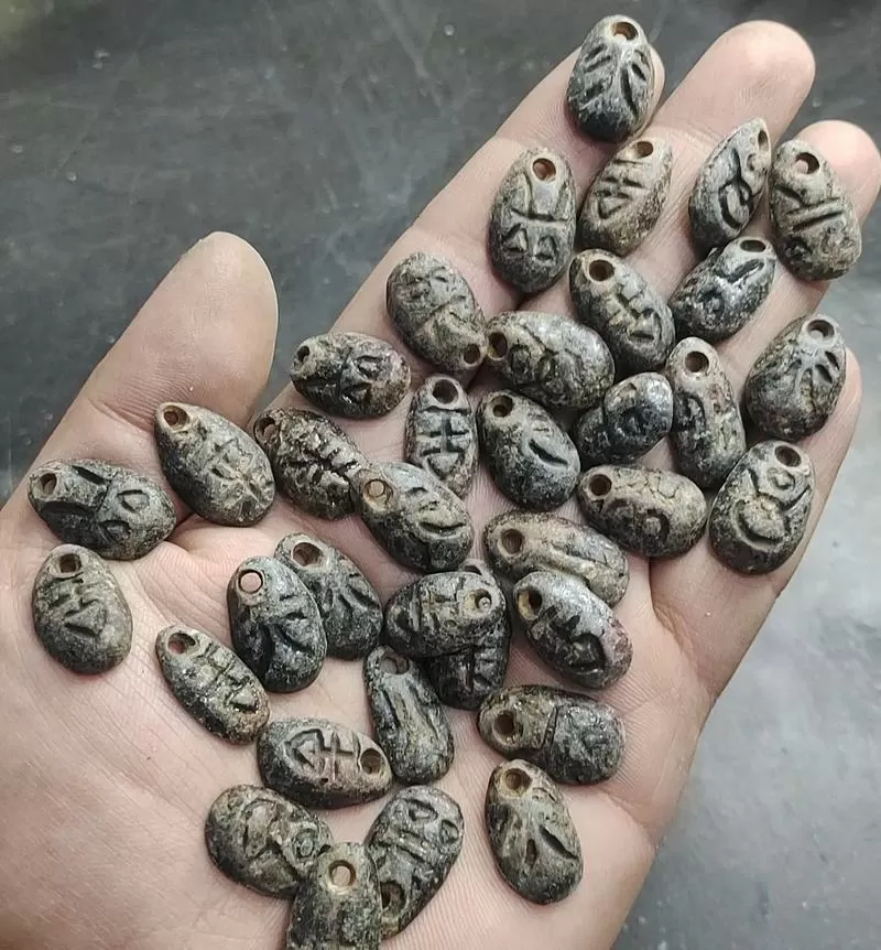 蚁鼻币值多少钱