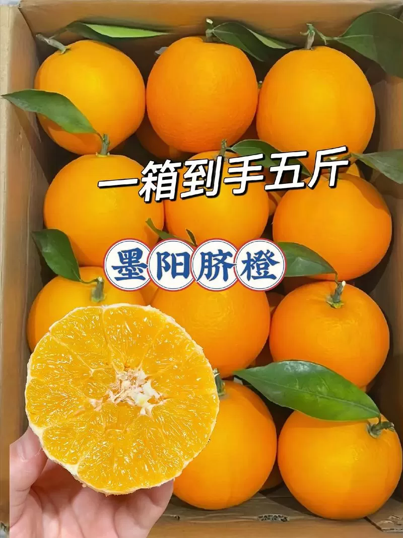 5斤装的橙子大概有几个截图