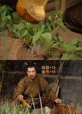 刘备种菜金币经验是哪一集