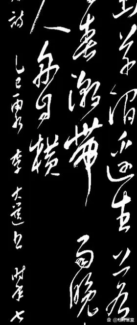 独怜幽草涧边生上有什么深树鸣