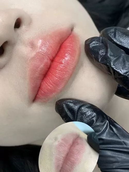 半永久裸唇是什么意思图标