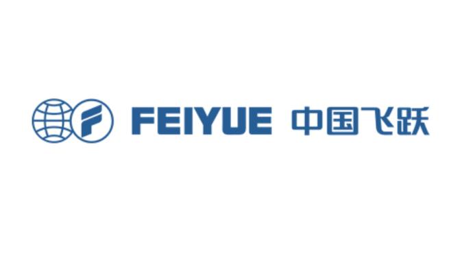 飞跃集团现在是谁的截图