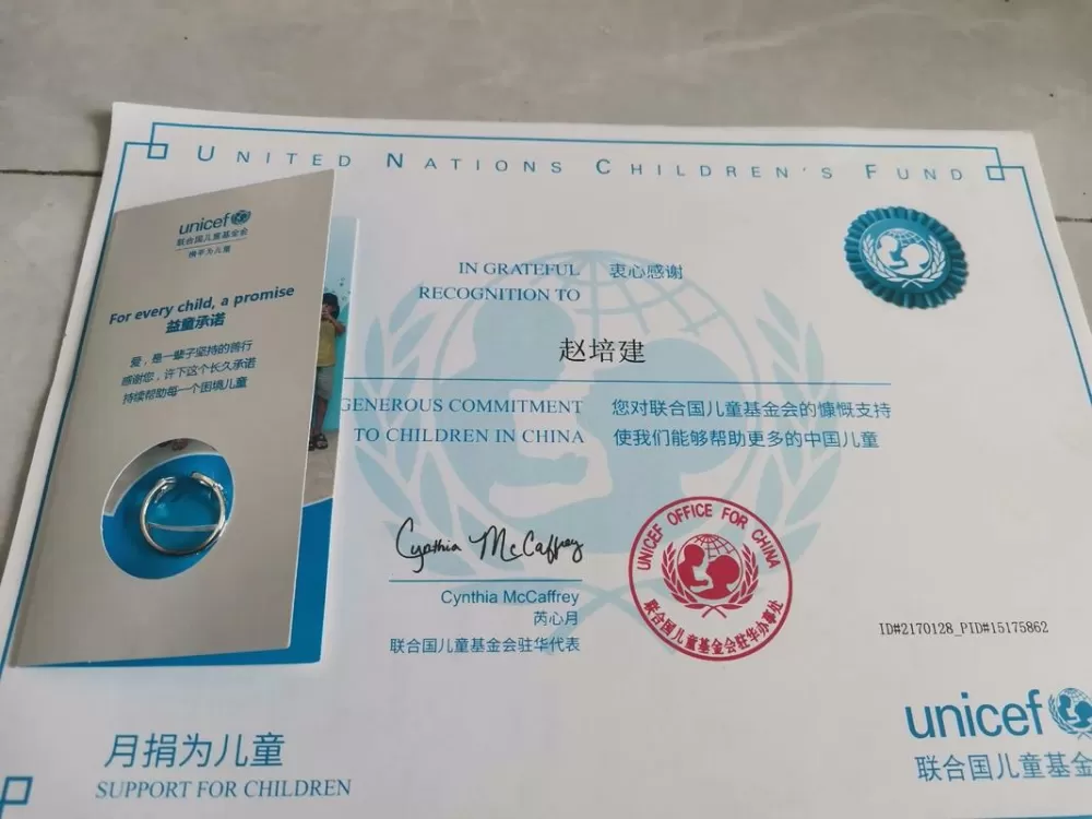 联合国儿童基金会证书含金量高吗图标