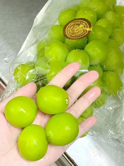 青提为什么那么贵图标