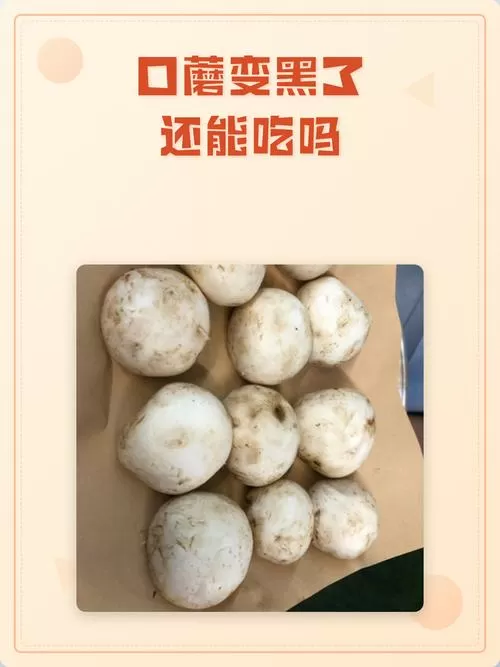 口蘑表面变色还能吃吗图标
