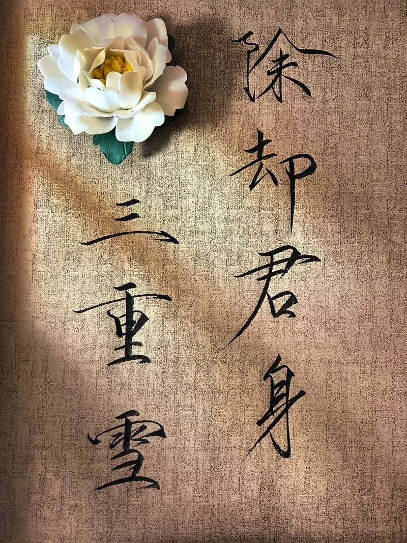 谁人配白衣截图