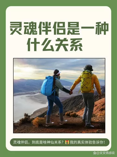灵魂伴侣如何相处图标