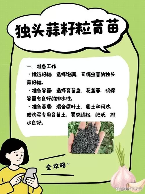 如何培育蒜苗苗视频图标