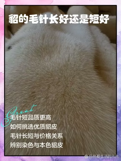 狐狸毛的毛针长好还是短好图标