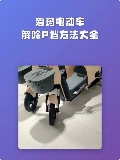 爱玛电动车解锁p档图标