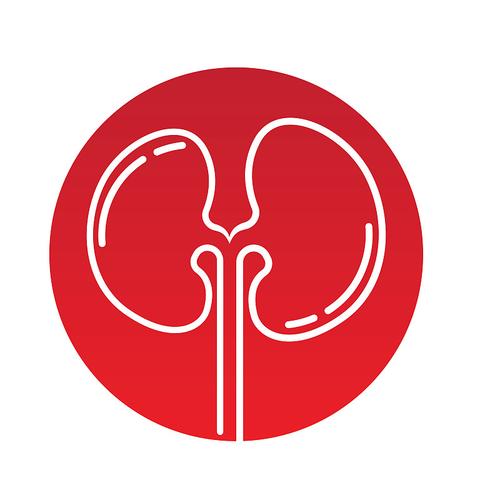 肾大