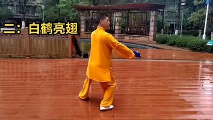 24式太极剑背面图标