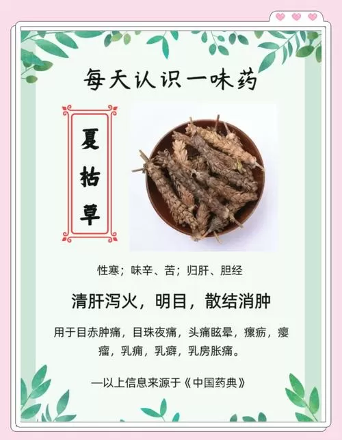 牛夏的功效与作用截图