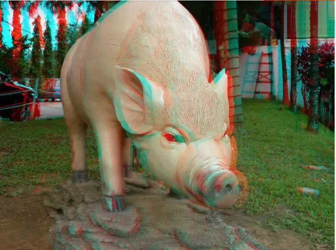 红蓝3d电影在线观看完整版图标