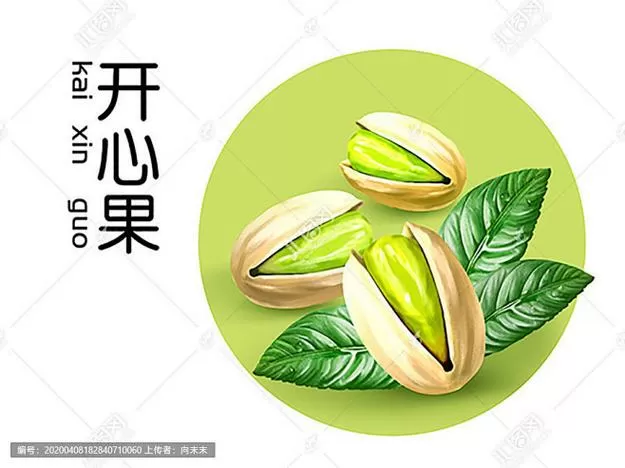 开心果几月份成熟采摘图标