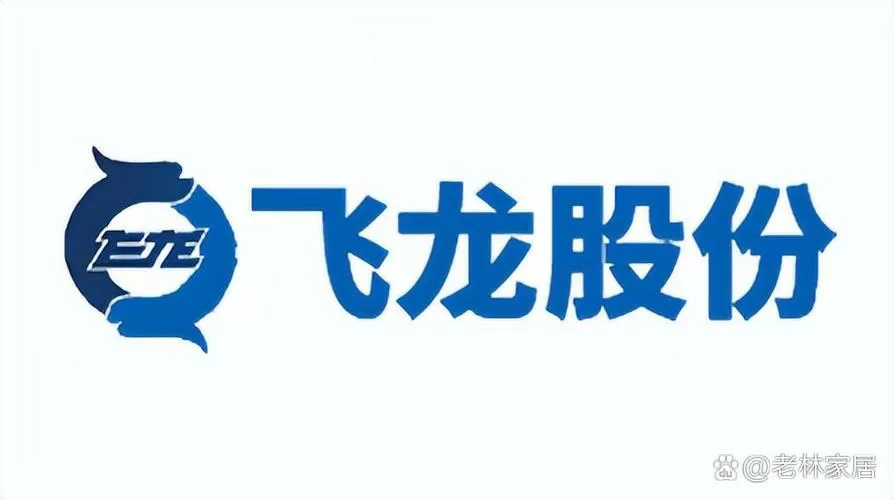 飞龙股份最新重大消息图标
