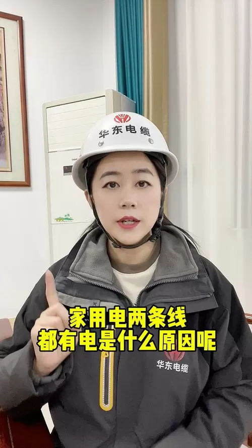 两条电线都有电是什么原因图标