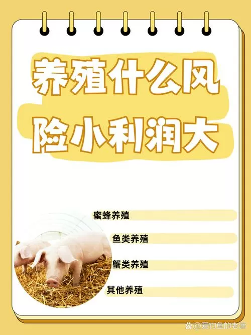 养殖蜜蜂的成本与利润图标
